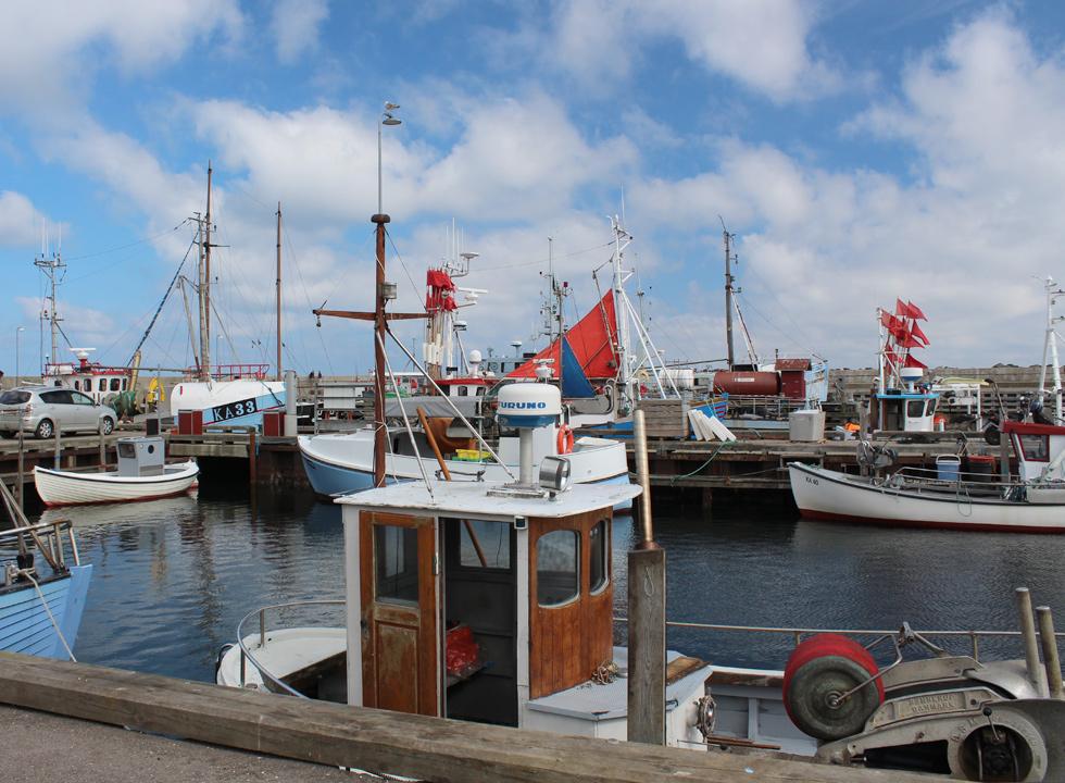 Ferienhausvermietung auf Själlands Odde – nah am Wasser